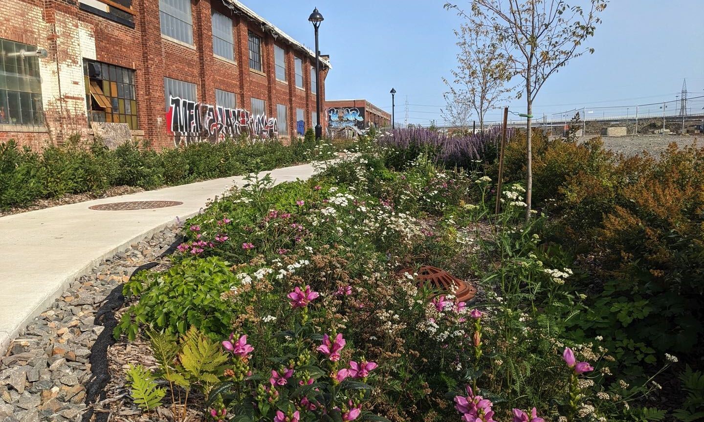 Ruelle bleue-verte du Bâtiment 7: un aménagement urbain innovant et ...