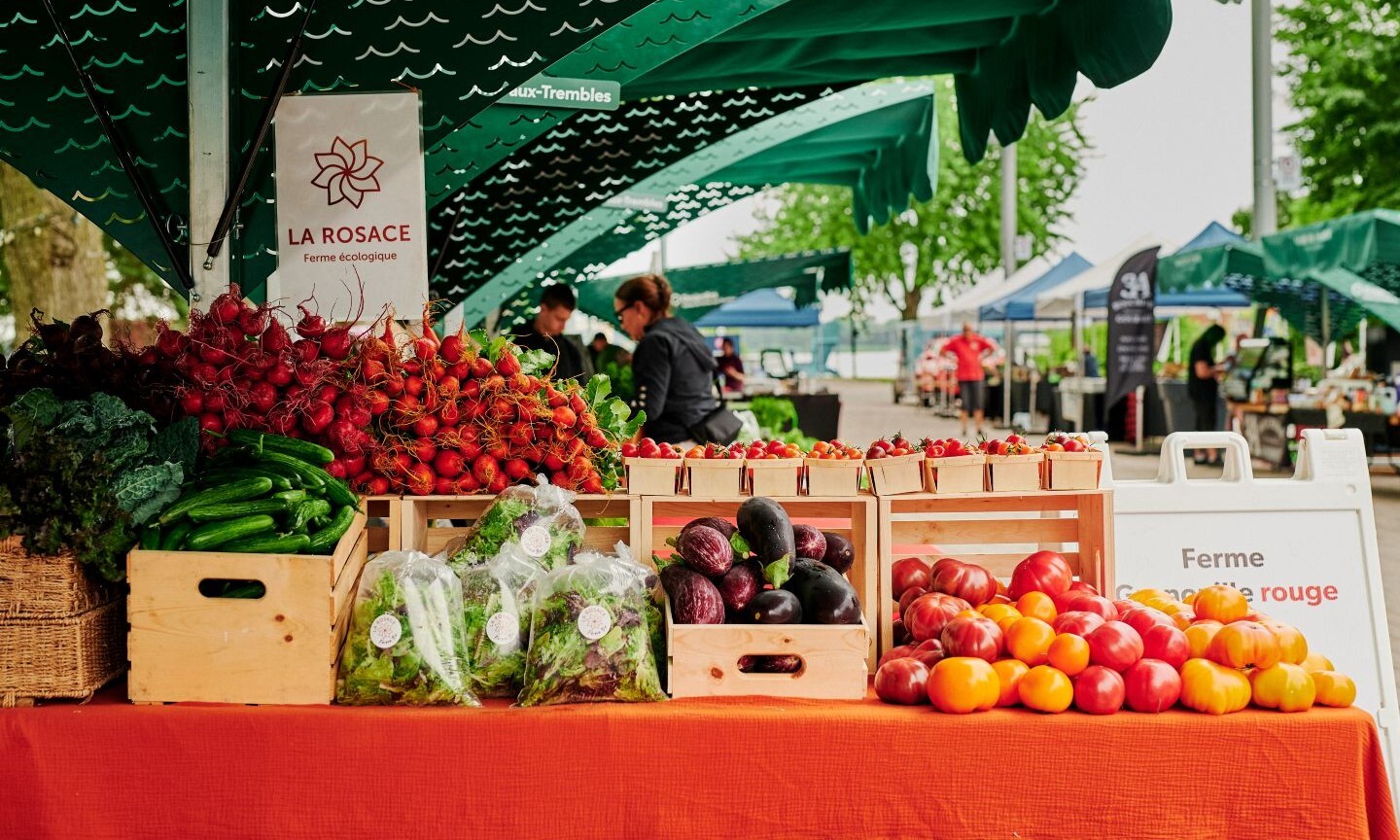 Implanter un marché public | 100°