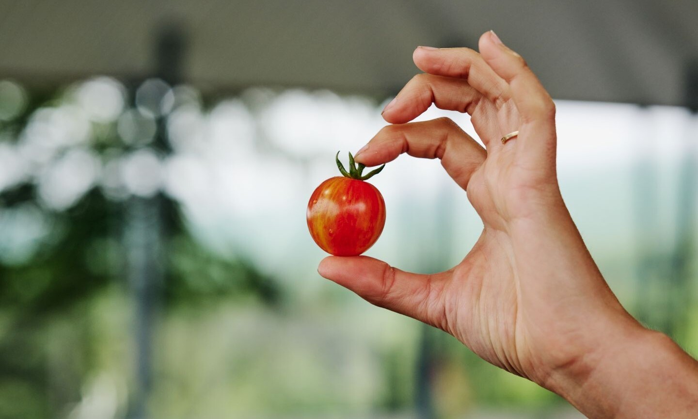 Implanter un marché public | 100°