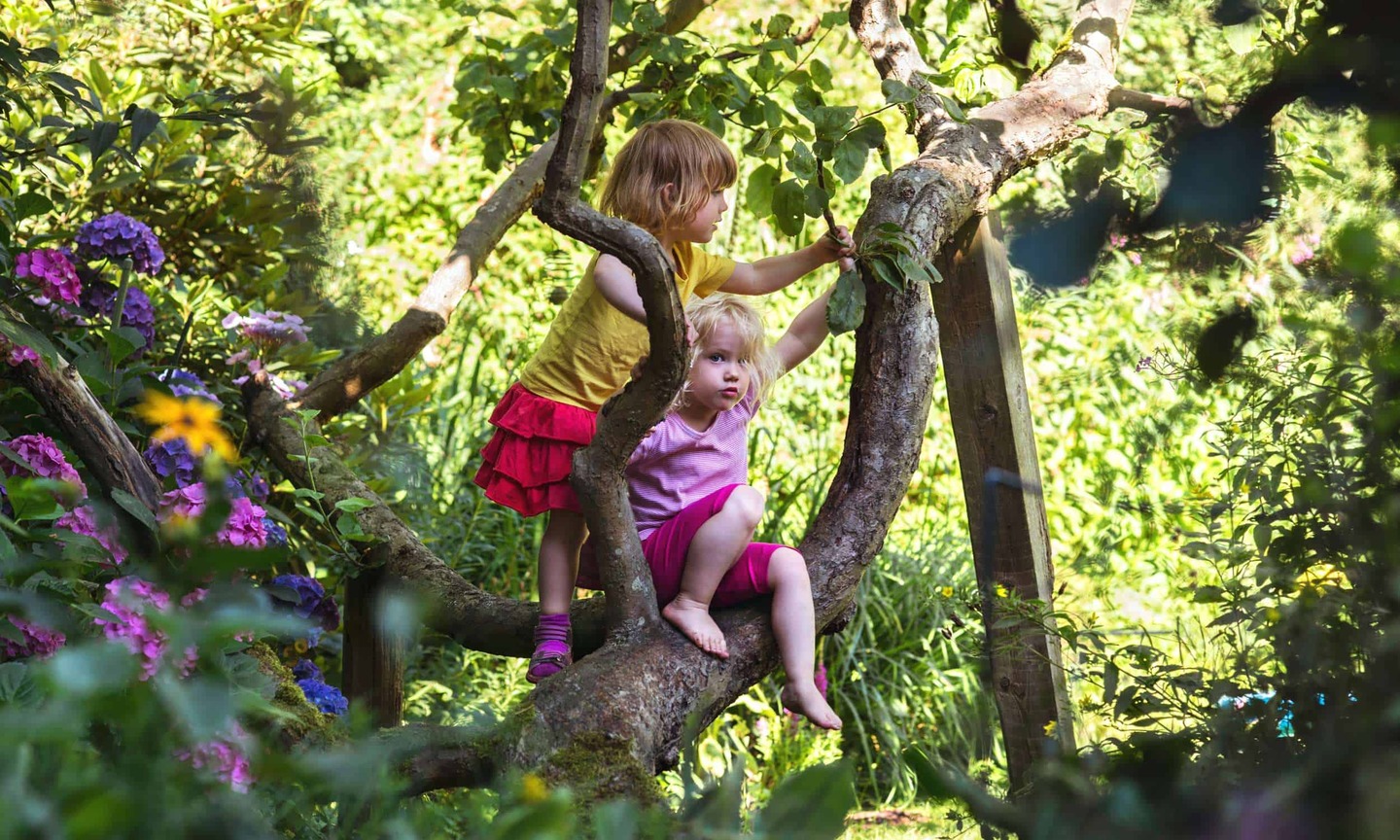 Organiser une journée de jeu libre et actif : un guide en 8 étapes | 100˚