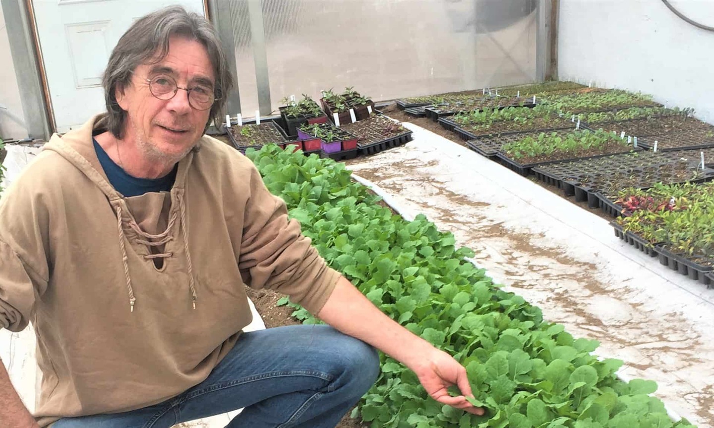 Alain Massé: éternel bourlingueur, maraîcher de l’espoir et producteur ...